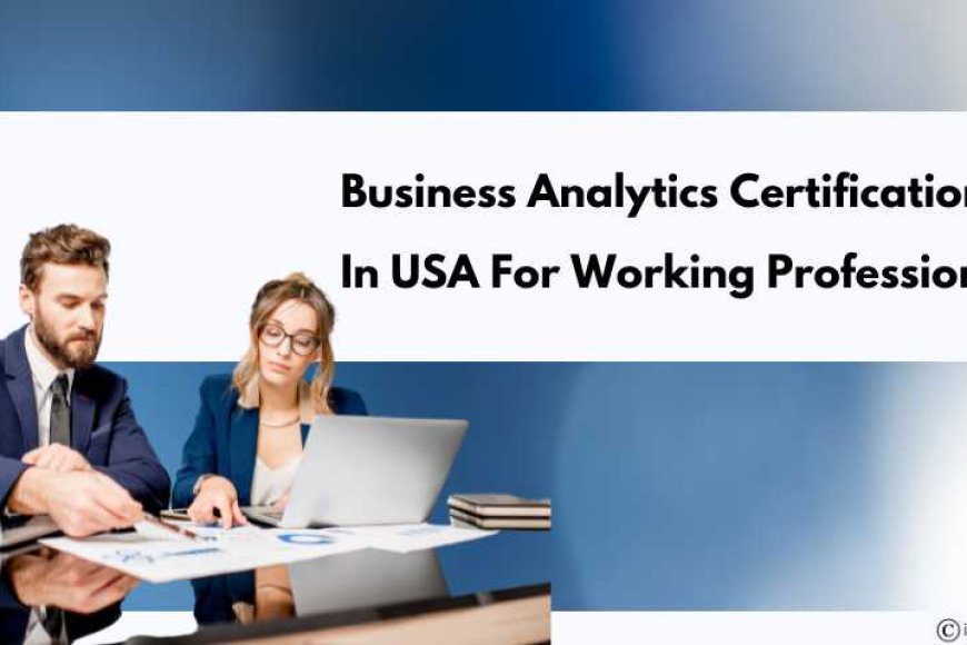 Business Analytics Certs in USA for Pros - IABAC
