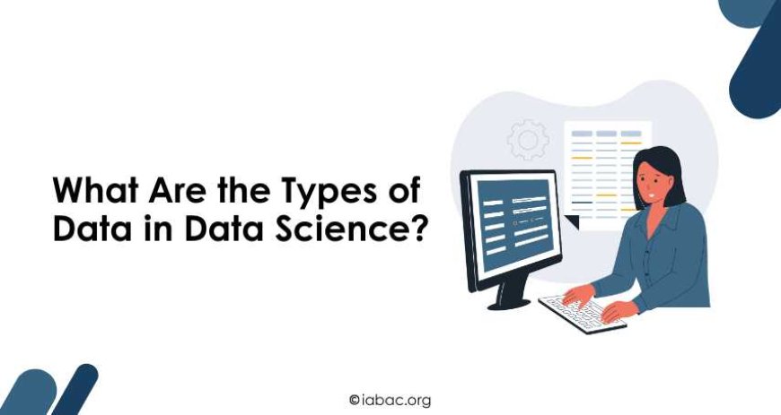 What Are the Types of Data in Data Science? - IABAC