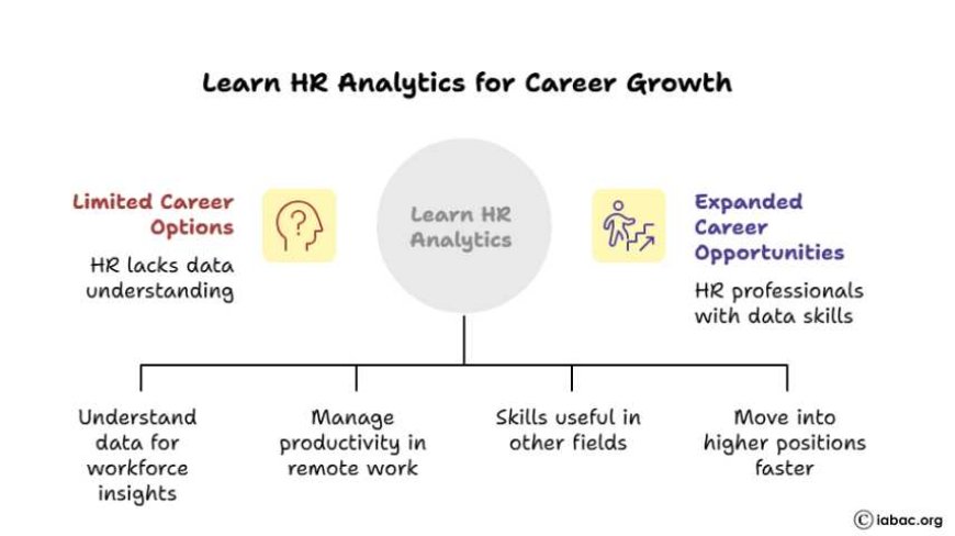 Why an Online HR Analytics Course is Worth Taking Now - IABAC