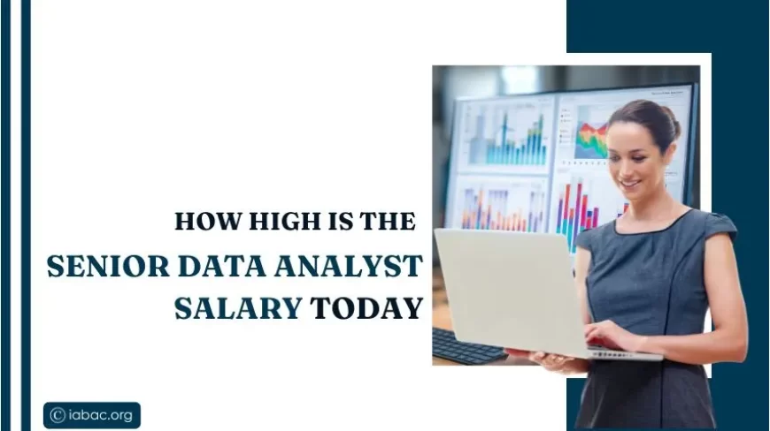 How High Is the Senior Data Analyst Salary Today - IABAC