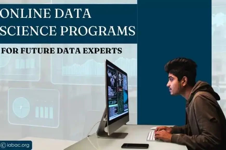 Online Data Science Programs for Future Data Experts - IABAC