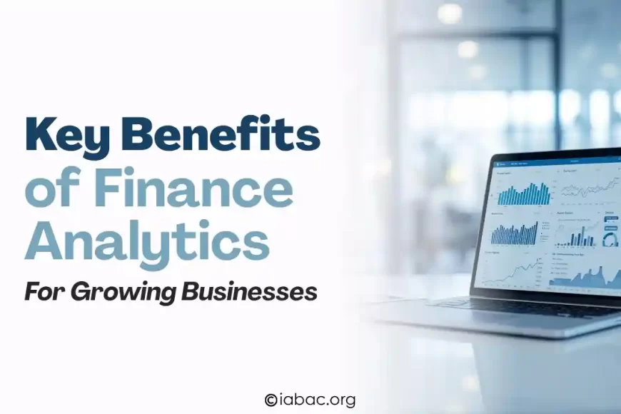 What Are the Key Benefits of Finance Analytics? - IABAC